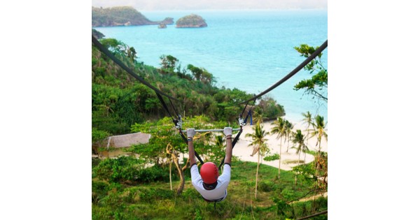 Flying Fox